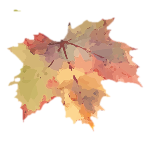 LEAF | Wise Transformation
